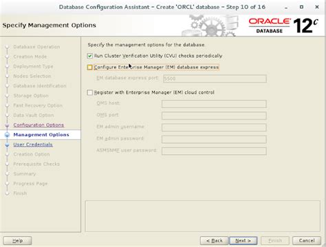 Step By Step How To Create Oracle RAC Database