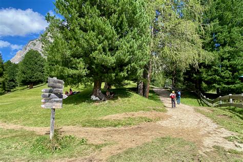 Puez Odle Altopiano Hike Day 5 Rifugio Malga Brogles To Vallunga Grow Adventurously