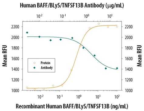 Human Baff Blys Tnfsf13b Antibody R D Systems 100μg Unlabeled