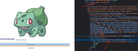 如何使用selenium Wire 姚伟斌