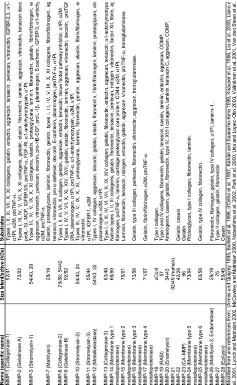 Matrix Metalloproteinases Download Table