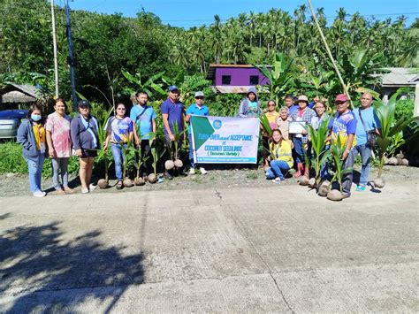 Pgmc Pgmc Turnovers Around 7 000 Coconut Seedlings