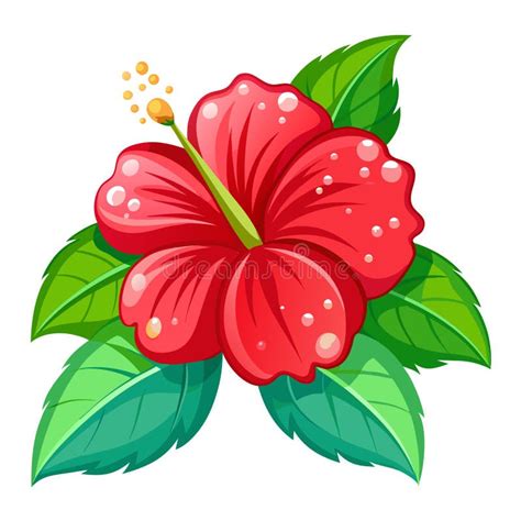 Hibiscus Flower Diagram With Labeled Parts Educational Botanical