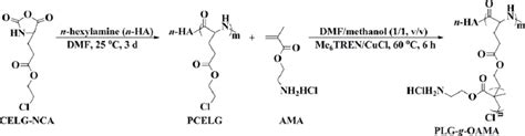 Scheme 1 Synthesis Pathway Of Plg G Oama Download Scientific Diagram