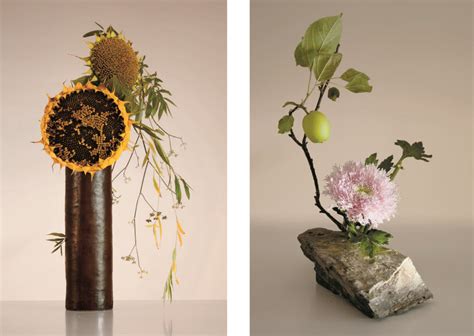 Plants And Seasons In Ikebana Espores