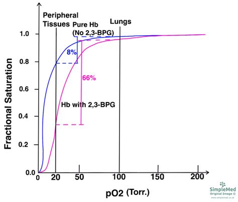 4 Protein Function In Oxygen Transport Simplemed Learning Medicine
