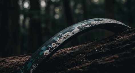 Natural Dye Extraction → Academic