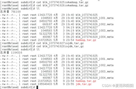 Hadoop完全分布式集群Hadoop 集群测试 分布式集群测试大纲 CSDN博客