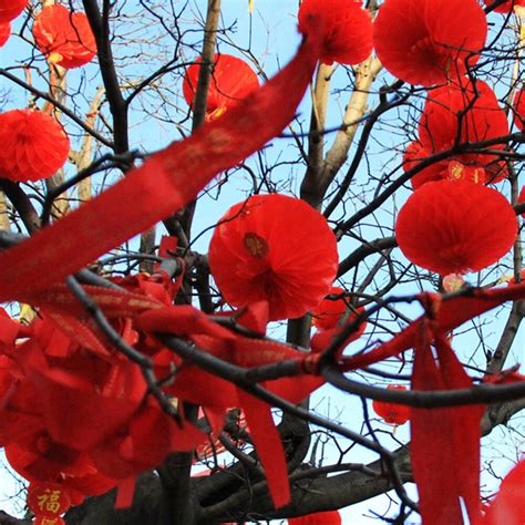 15pcs Chinese Lanterns Unique Hanging Lantern Deco Vicedeal