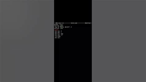 Hello World Program In X86 Assembly Youtube