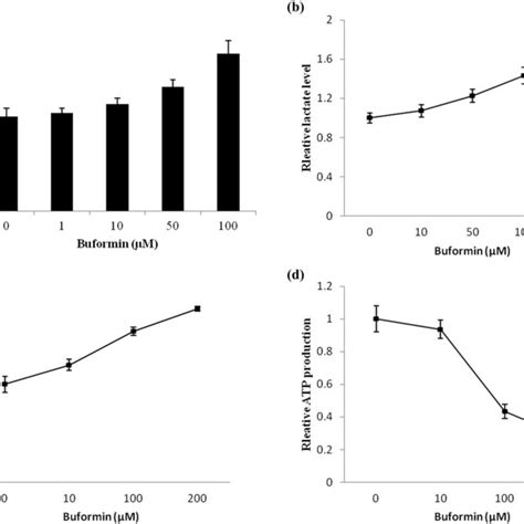 Synergistic Effect Of Buformin And Cisplatin In U 2 Os Cells