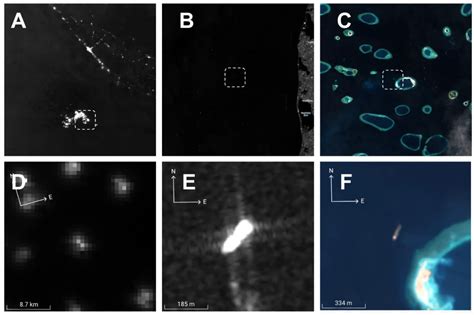 Protecting Marine Life With Ai