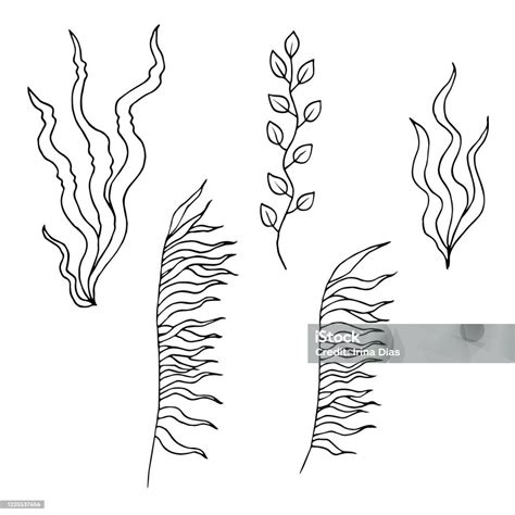Seaweed For The Side Tattoo