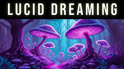 Induce Vivid Lucid Dreams And Enter Rem Sleep Cycle Lucid Dreaming