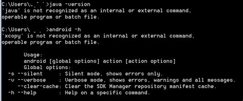 Java Environment System Variables Path Not Recognized Error Stack