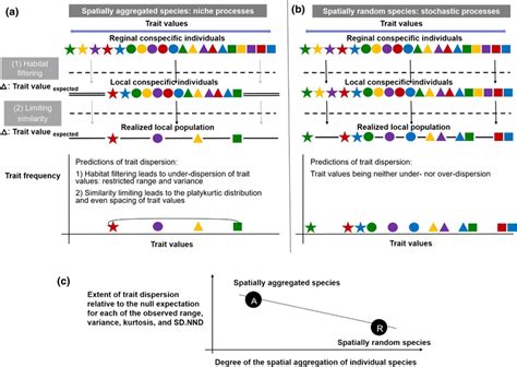 conceptual framework outlining the role of intraspecific trait