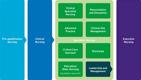 Nursing Career Pathways — Chelsea And Westminster Hospital Nhs