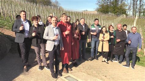 Kralj Cvička Je Janez Colnar Vaš Kanal