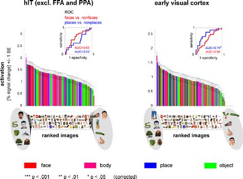 Single Image Activation Of Hit And Early Visual Cortex Does Not Show A