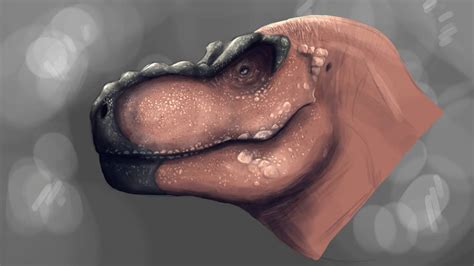 T Rex Head Paleoart By Neisankaiju On Deviantart