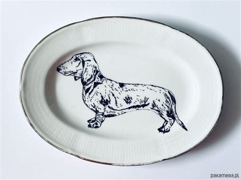 Jamniczek 3713429 Pakamerapl