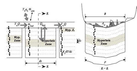 1 Schematic Of The 1d Advection Dispersion Model With Transient Download Scientific Diagram