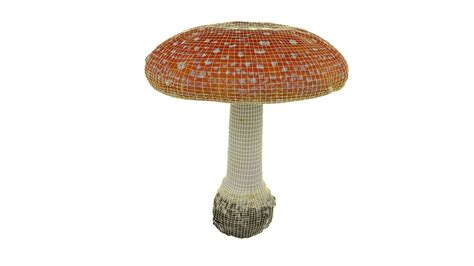 3d Model Toadstool 3 Turbosquid 2266135