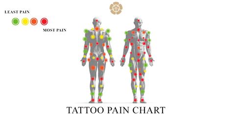 Tattoo Placement Chart
