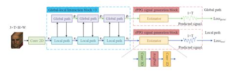 【rppg论文阅读】learning Spatiotemporal Pulse Representation With Global Local Interaction And