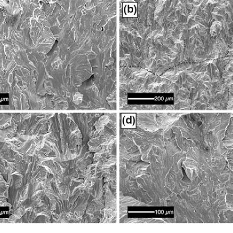 Sem Micrographs Of Dynamic Fracture Features A Quasicleavage