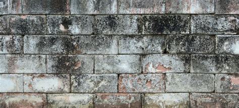 Backgroundtexture Stock Image Image Of Horizontal 171941337