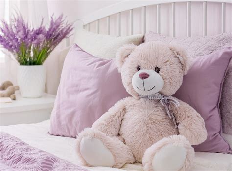 A Guide To What Lice And Nits Look Like Licefreee