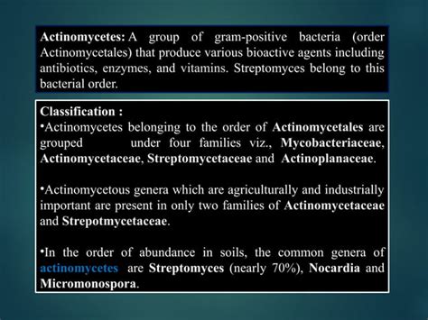 Actinomycetes Presentation Microbiology Pptx