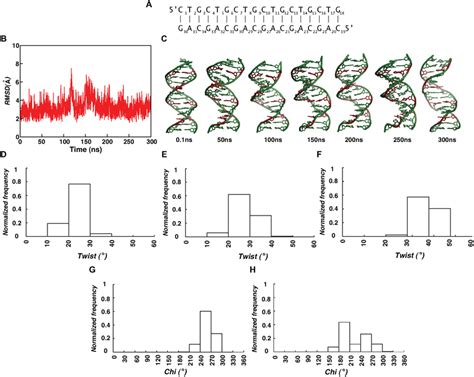 Canonical Base Pairs Favor B Dna Structure For Dctg6dcag6 Download Scientific Diagram