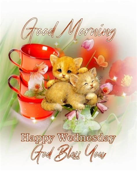 Cute Kitties Good Morning Happy Wednesday Pictures Photos And