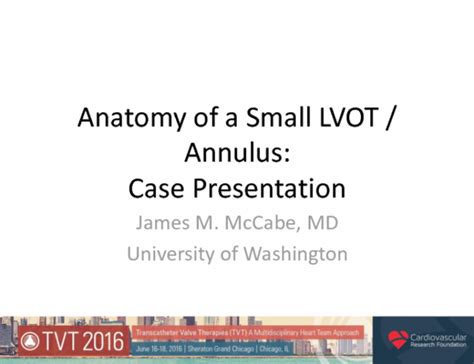 Anatomy Of A Small Lvot Annulus