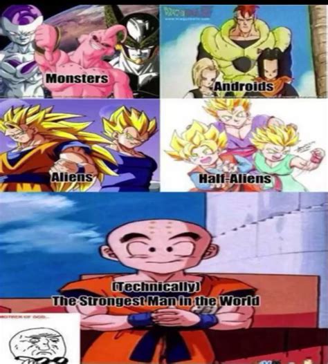 The Best Krillin Memes Memedroid