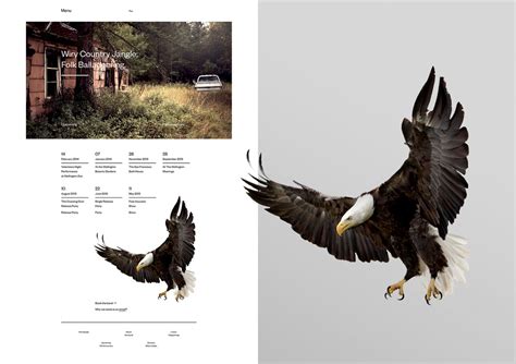 Miles Calder And The Rumours Best Design Awards