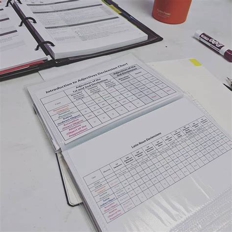 Introducing Third Declension Latin Nouns