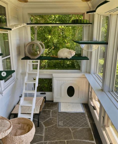 Catio Ideas How To Create A Safe And Fun Outdoor Space For Your Cat