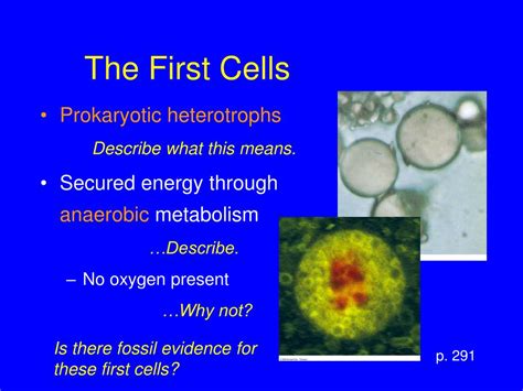 Ppt The Origin And Early Evolution Of Life Powerpoint Presentation Free Download Id 6052757
