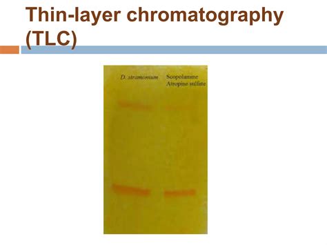 Isolation Identification Of Alkaloids Atropine And Quinine Pptx
