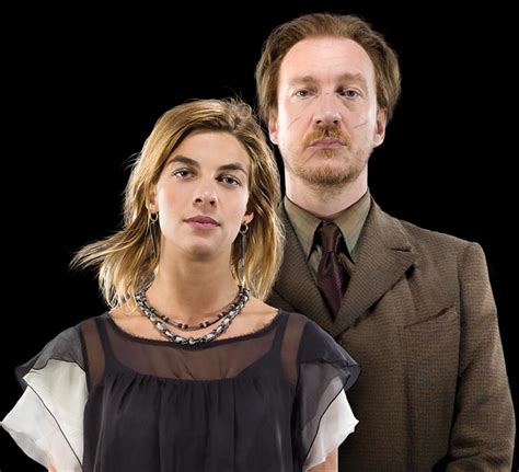 Harry Potter Tonks And Lupin Unhaduiyct