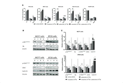 Effect Of Inecalcitol Andor Palbociclib Treatment On Cell Cycle Download Scientific Diagram
