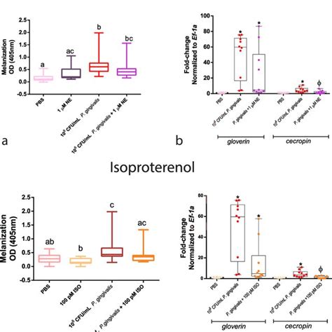P Gingivalis Recovery From The Haemolymph Of Larvae Infected With P