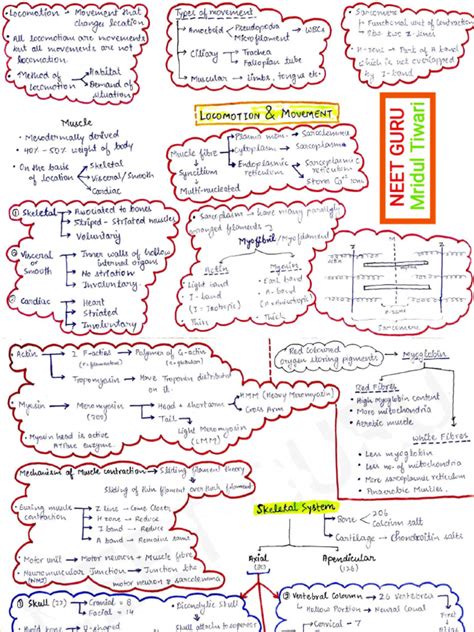 chap 20 locomotion and movement mind map pdf