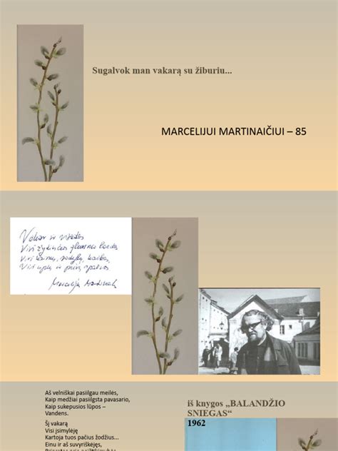 Martinaitis Pdf