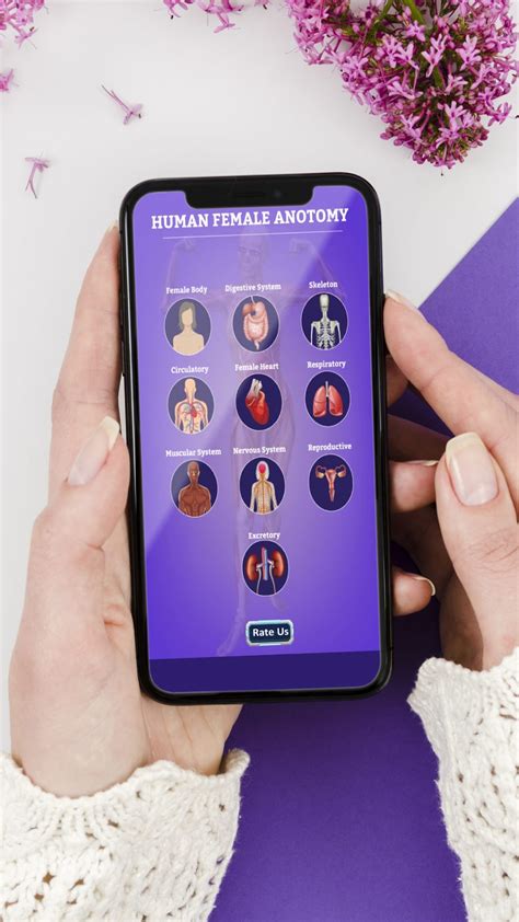 Human Anatomyfemale Male An สำหรับ Android ดาวน์โหลด