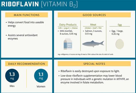 Riboflavin Deficiency Causes Signs Symptoms Diagnosis And Treatment