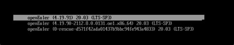 Openeuler 内核编译安装 Migration 迁移 Openeuler 论坛